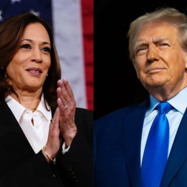 Democratic leader Chuck Schumer supports Kamala Harris call her a ...