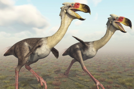 Giant Terror Birds Predated Dinosaurs With Lethal Speed